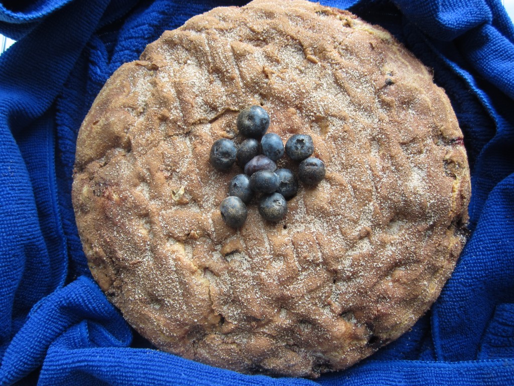 Blueberry Brunch Cake - My Judy the Foodie